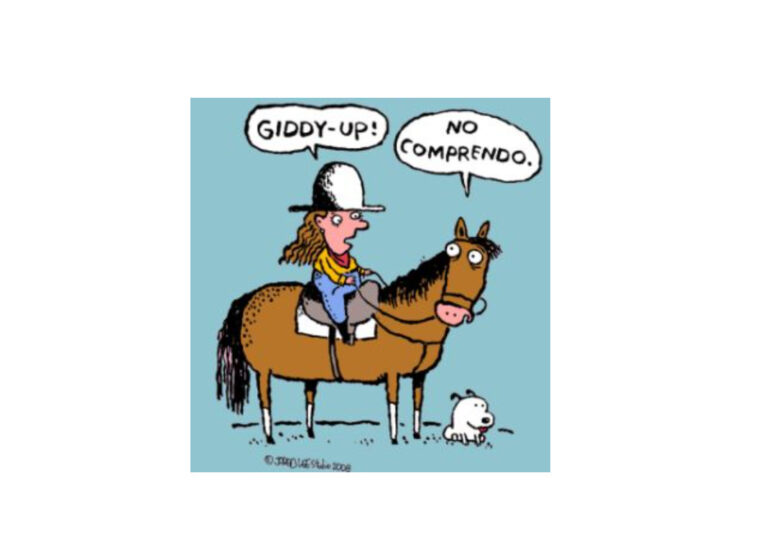 Entender Vs. Comprender - spanishNY.com