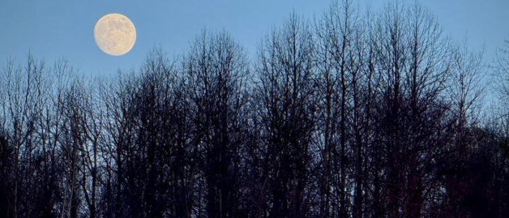 Golazo, azo, azo - spanishNY.com