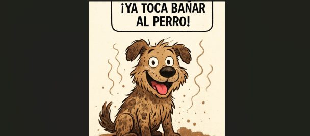 ¡HOY TOCA! - spanishNY.com Understanding the Spanish verb TOCAR: “me ...
